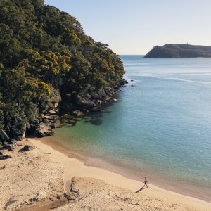 Destinations - The Basin | Palm Beach Ferries