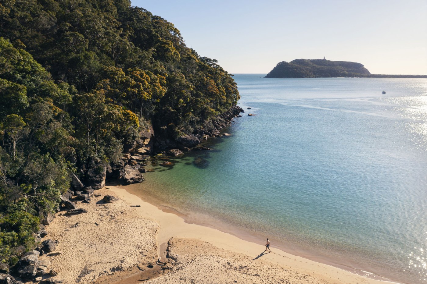 24hr Palm Beach Hopper Pass | Palm Beach Ferries